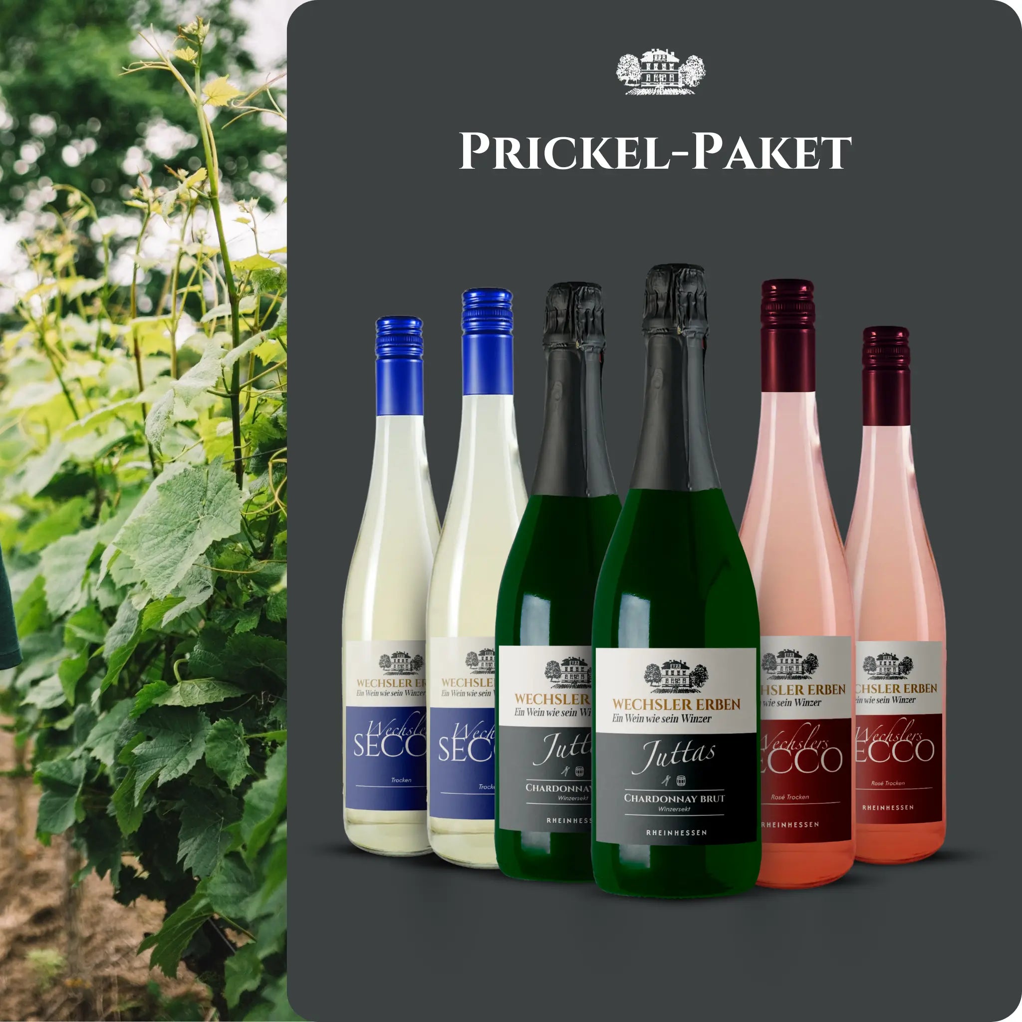 Prickel-Paket trocken Weingut Wechsler Erben